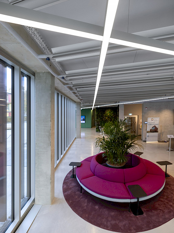 Lightnet | Highlighting architecture